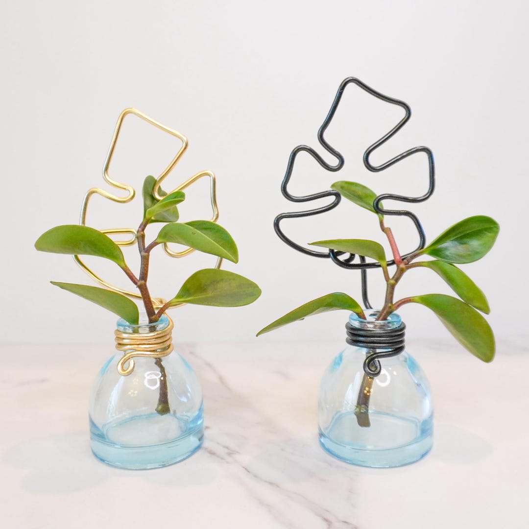 Blue Mini Propagation Jar With Monstera Trellis - Etsy