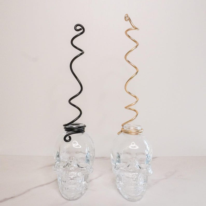 Skull Propagation Jar With Trellis - Etsy