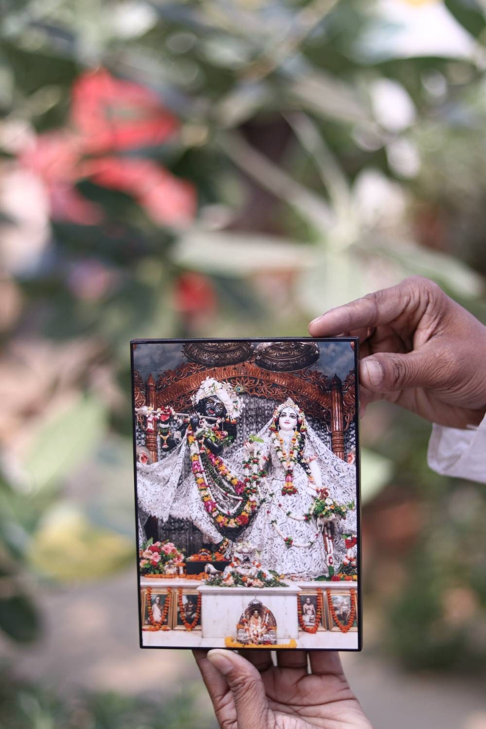 Iskcon Mayapur Radha Madhab Picture Size 4 6 Inches Holy - Etsy