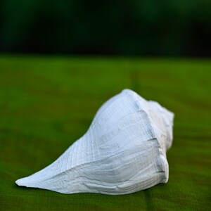 Puja Conch Shell for Keeping Ganga Water, Arati, for Offering to God ...