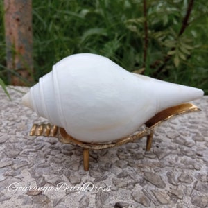 Puja Conch Washing for the Lord Krishna Shell Spiritual Thing Size 9 Cm ...