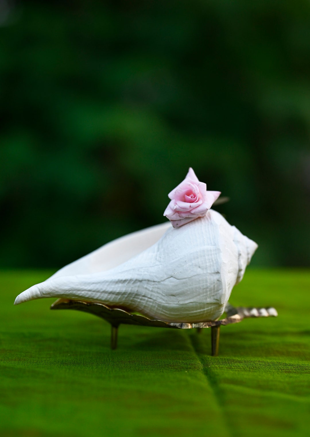 Puja Conch Shell for Keeping Ganga Water, Arati, for Offering to God ...