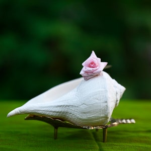Puja Conch Shell for Keeping Ganga Water, Arati, for Offering to God ...
