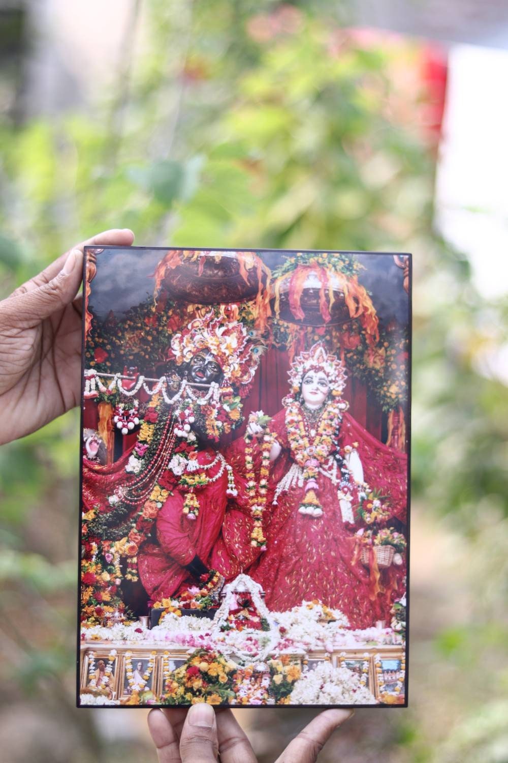 Iskcon Mayapur Radha Madhab Picture Size 811 Holy Things - Etsy Australia