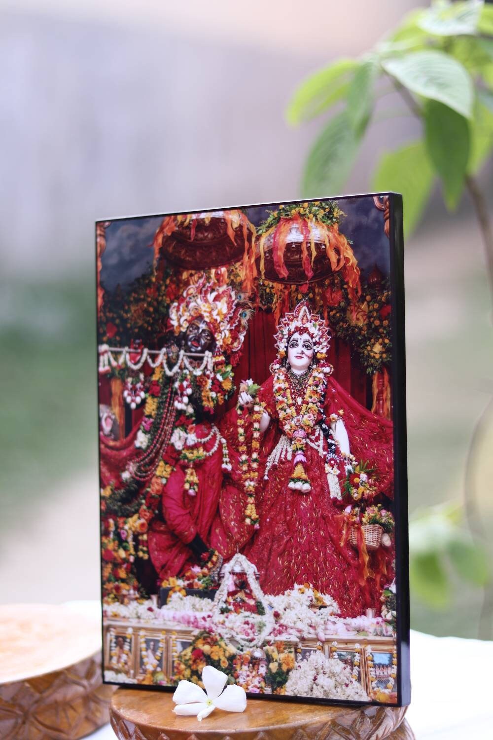 Iskcon Mayapur Radha Madhab Picture Size 811 Holy Things - Etsy Australia
