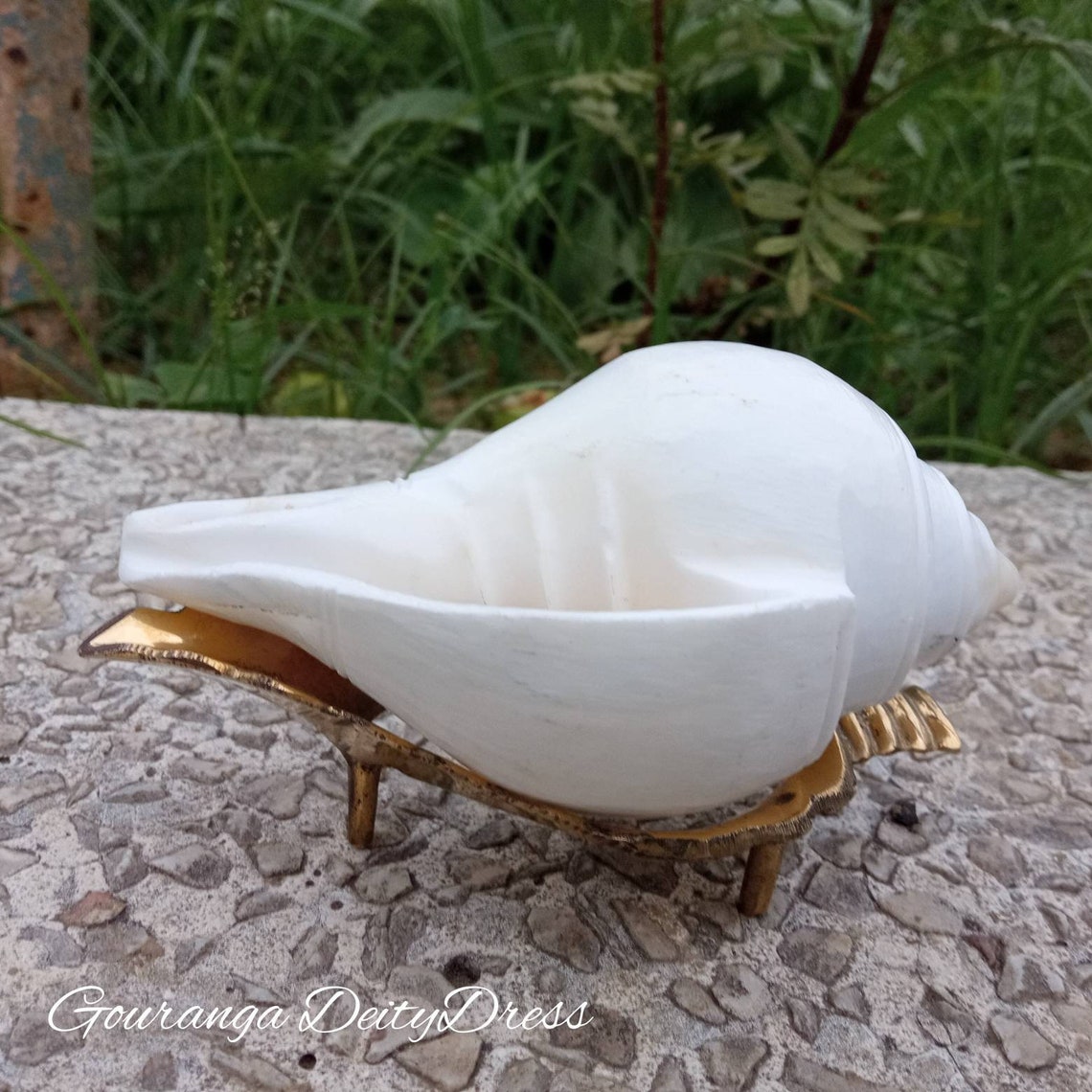 Puja Conch Washing for the Lord Krishna Shell Spiritual Thing - Etsy