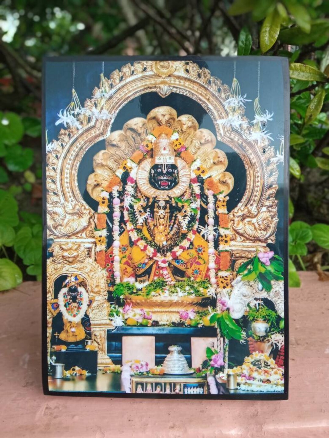 Iskcon Mayapur Lord Narashigha Dev Picture Laminated Best Quality Holy Things Spritual Things ...