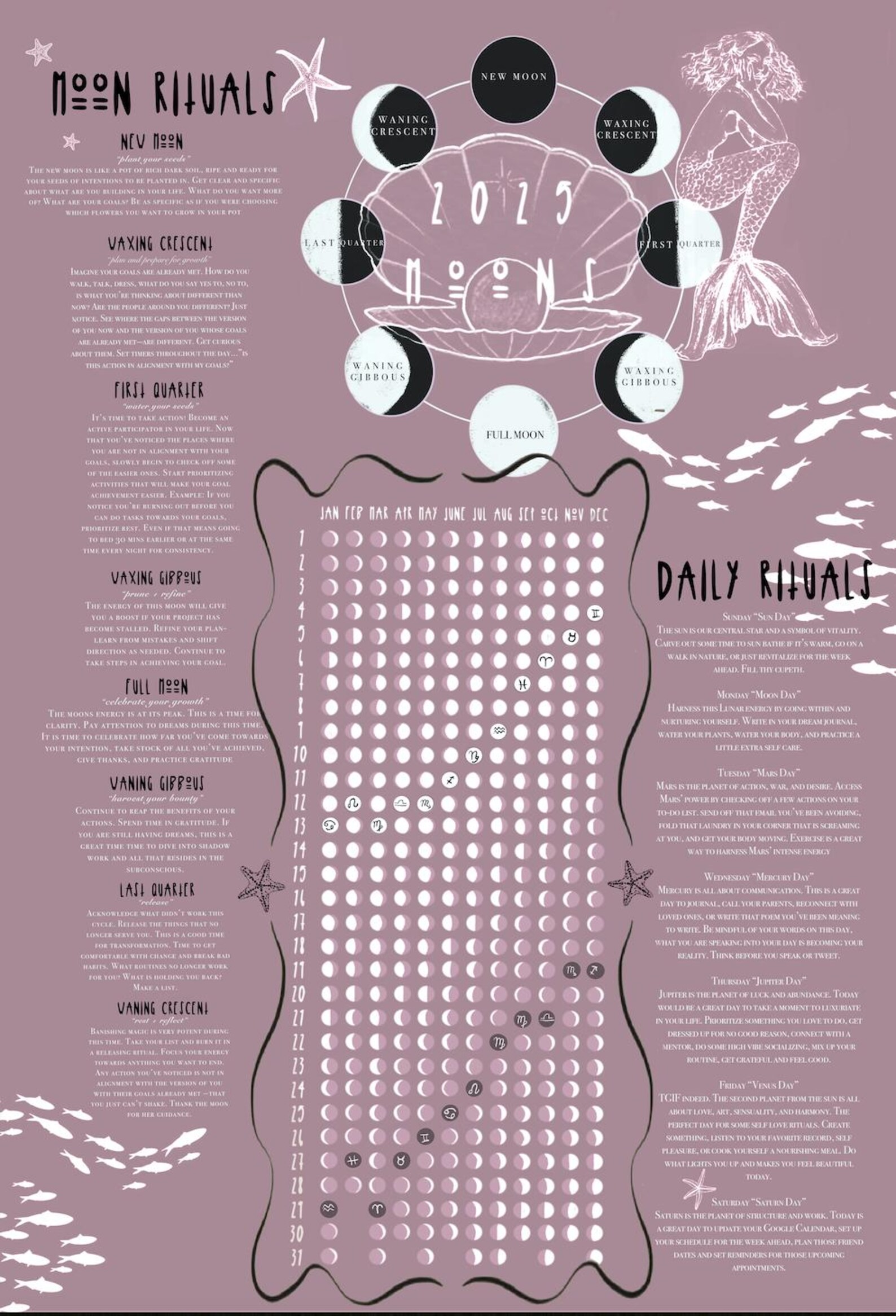 Last Minute Holiday Gift! 2025 Moon Calendar - Etsy