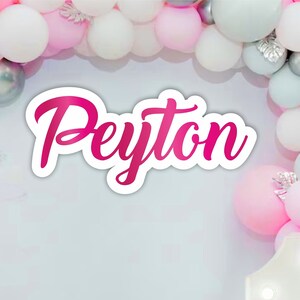 Doll Backdrop Birthday Backdrop Sign, Name Sign, Birthday Name Pink ...