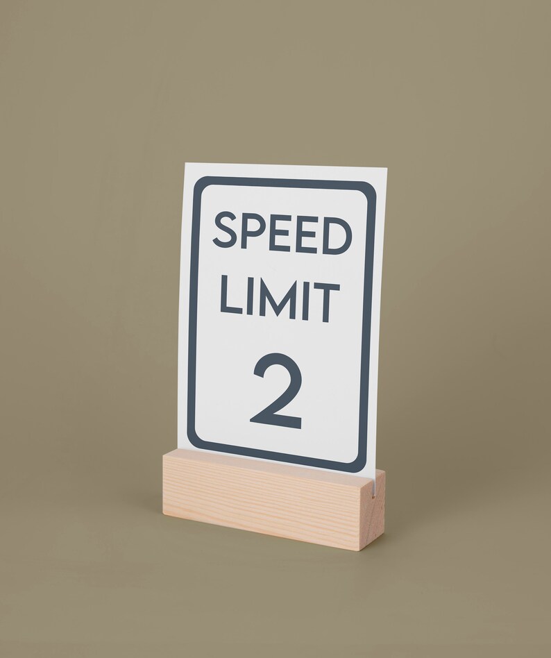 Speed Limit Sign Two Fast Decoration Race Car Birthday Decor - Etsy