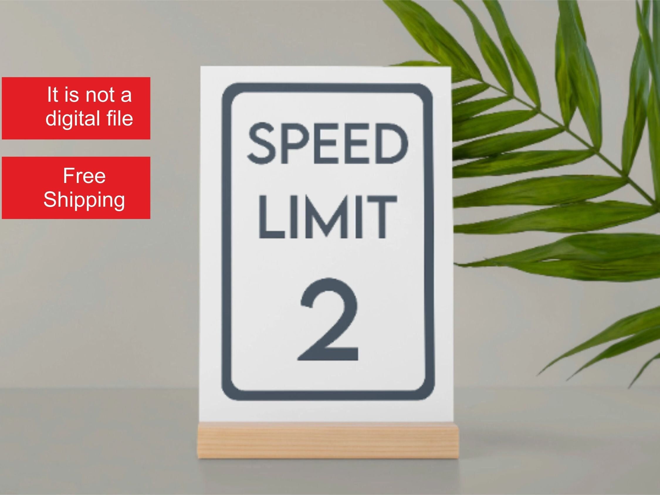 Speed Limit Sign Two Fast Decoration Race Car Birthday Decor - Etsy