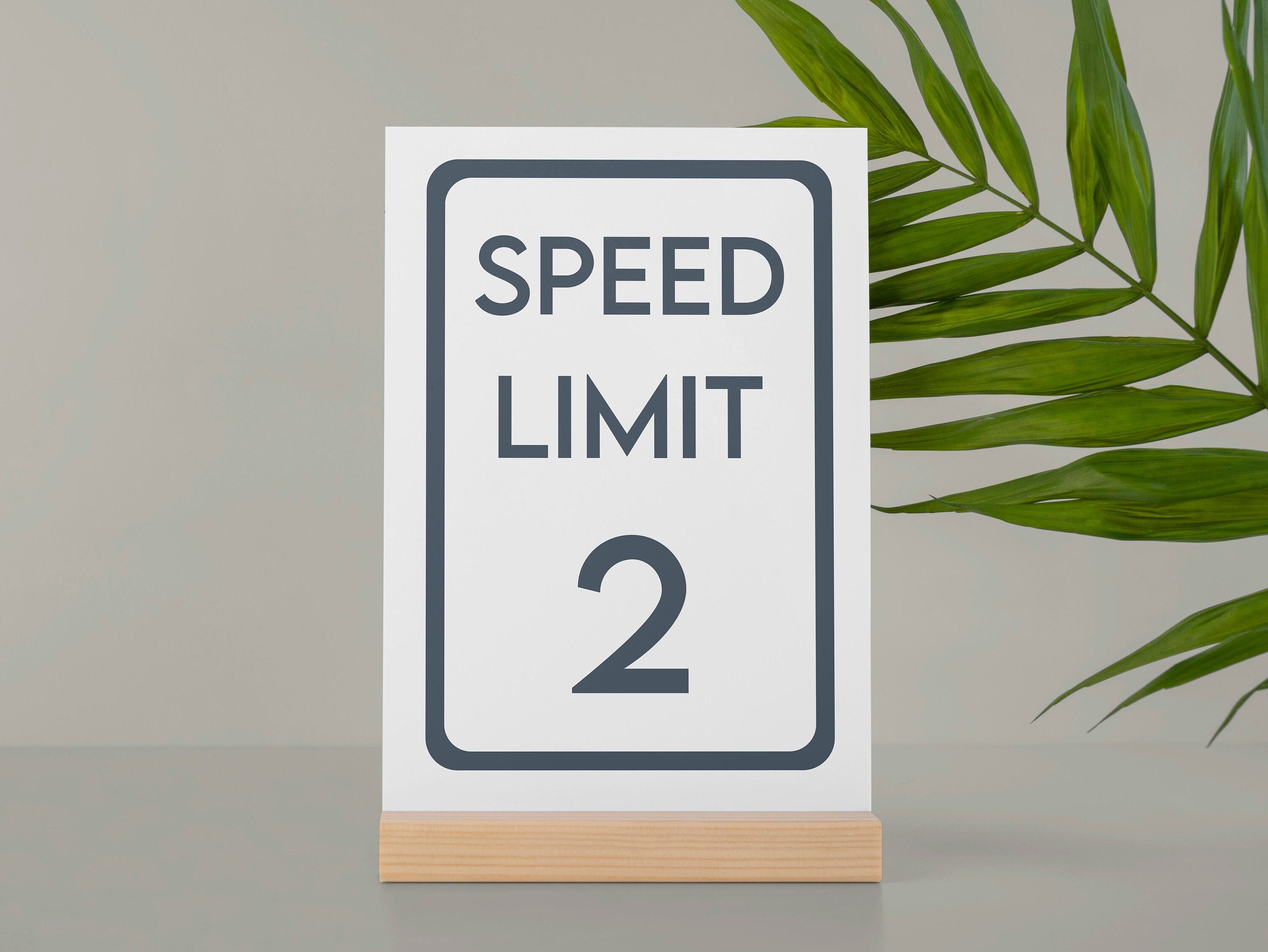 Speed Limit Sign Two Fast Decoration Race Car Birthday Decor - Etsy