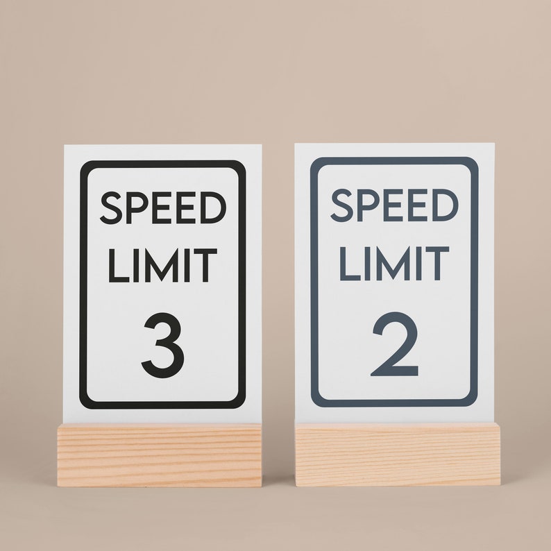 Speed Limit Sign, Two Fast Decoration, Race Car Birthday Decor - Etsy