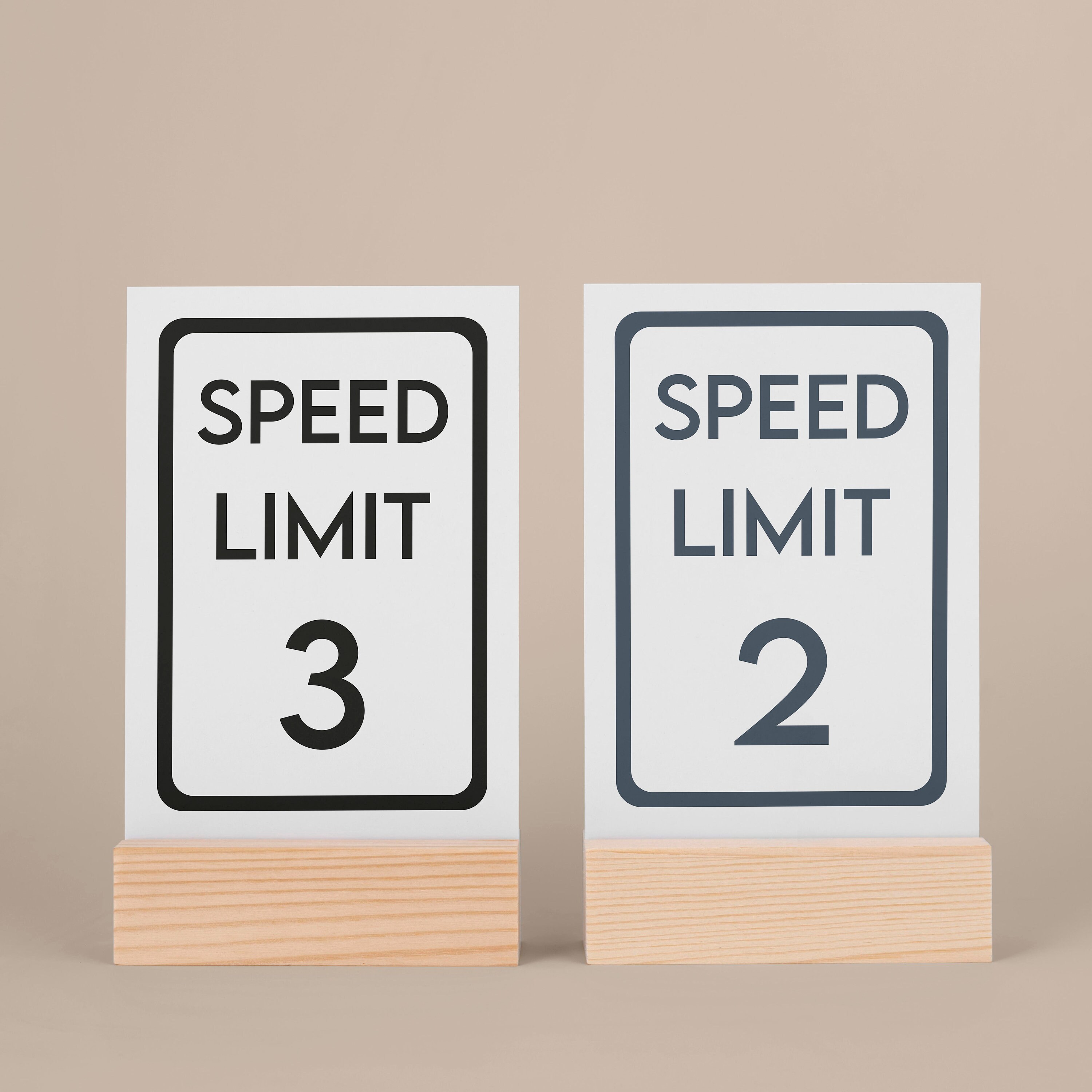 Speed Limit Sign Two Fast Decoration Race Car Birthday Decor - Etsy