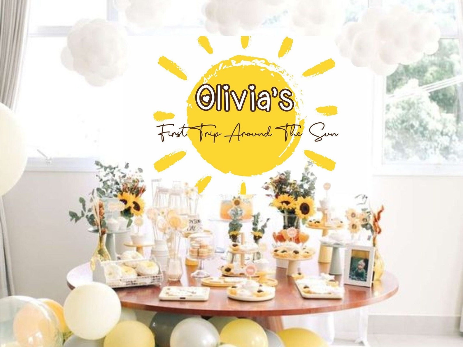 First Trip Around the Sun Birthday Backdrop Banner, 1st Trip Around the ...