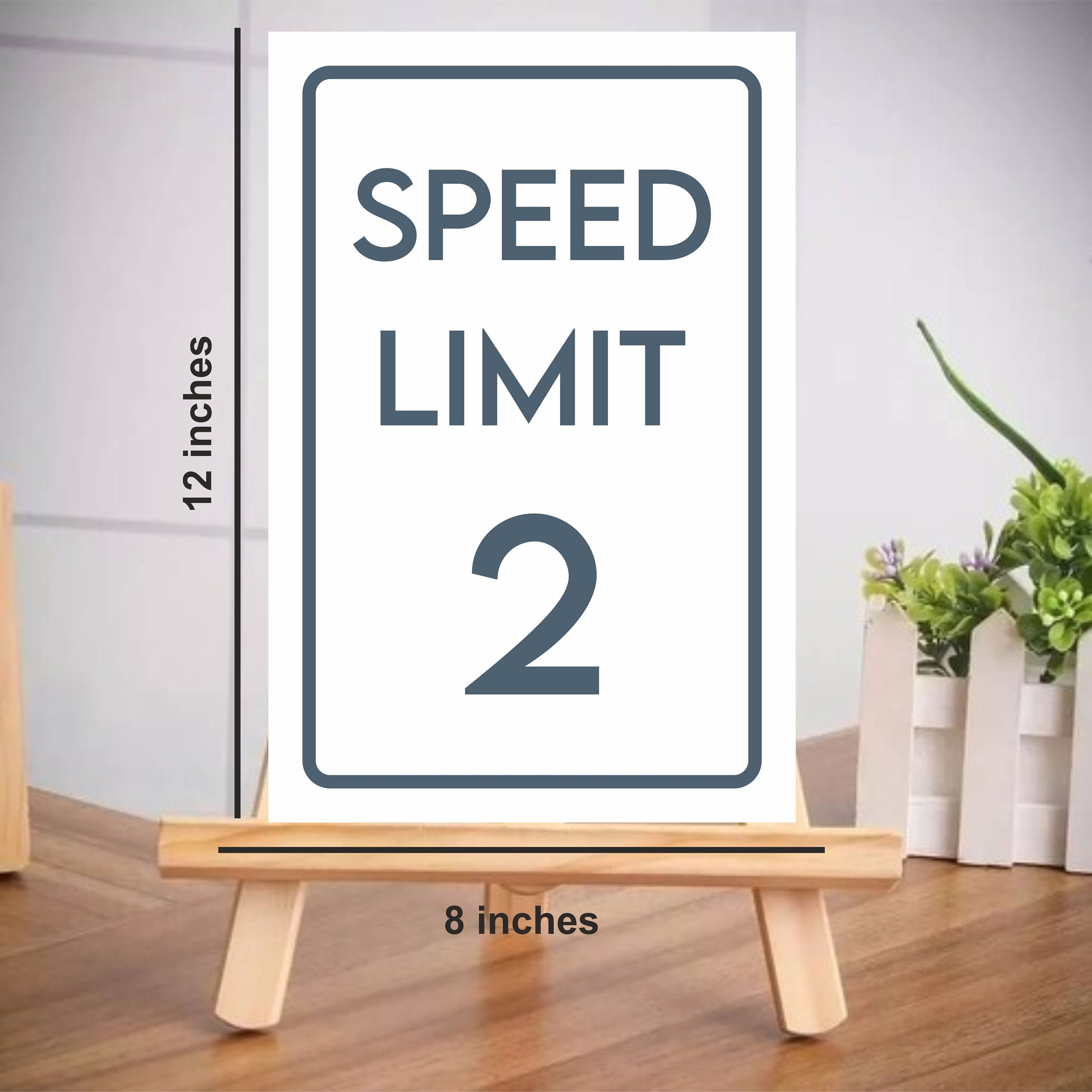 Speed Limit Sign, Two Fast Decoration, Two Fast Birthday Decor, Speed ...
