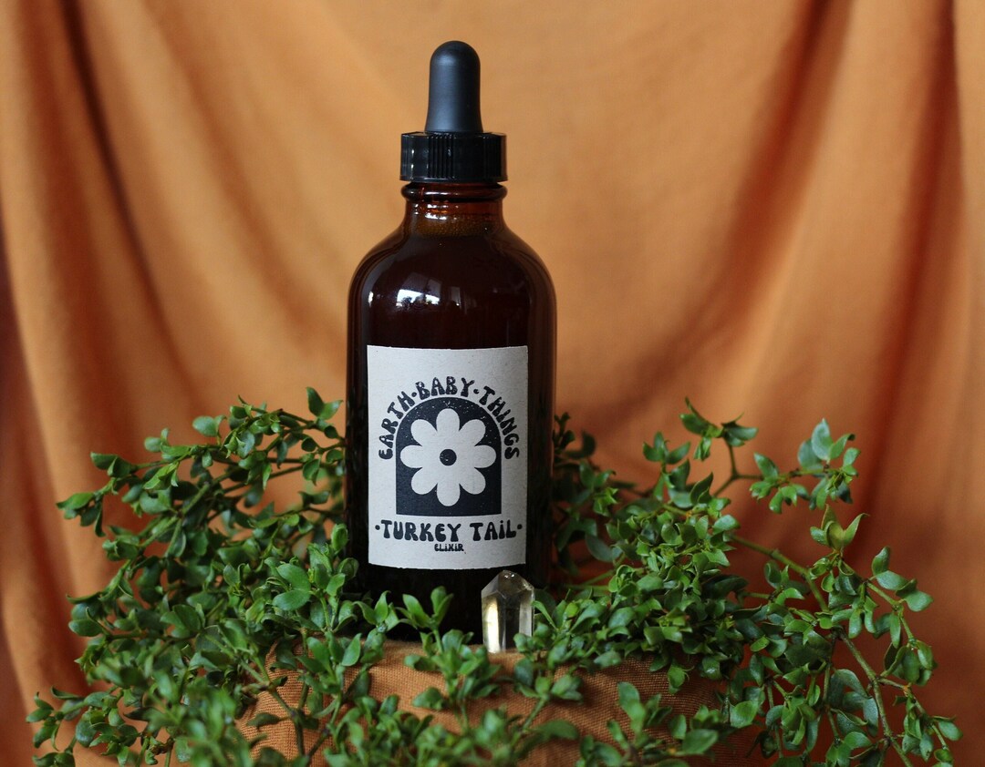Wild Turkey Tail Mushroom Elixir ~ Resilience, Wellbeing, Generosity ...