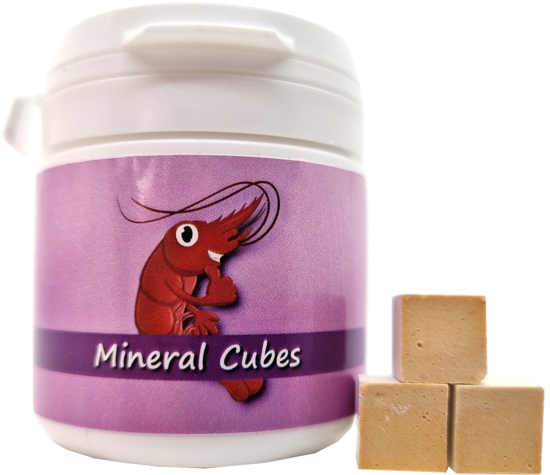 Mineral Cubes "vitamin Vital" / 30 Pieces / Shrimp Aquarium Conditioner ...
