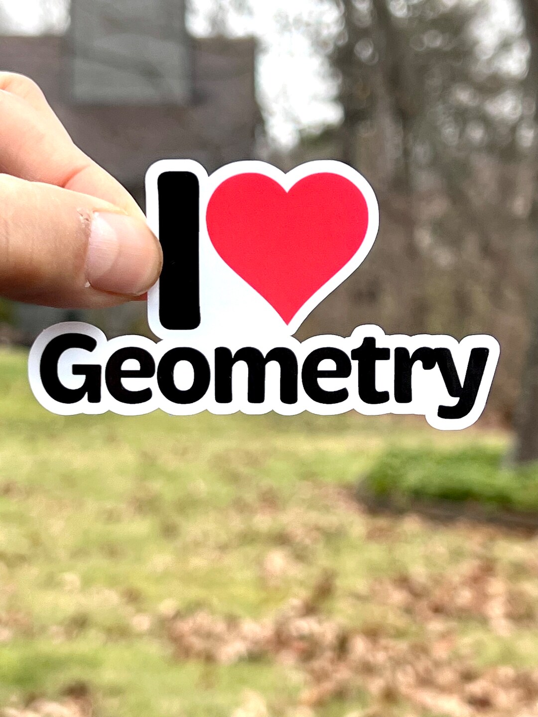 I Love Geometry Sticker | I Heart Geometry Vinyl Sticker | Water Bottle ...