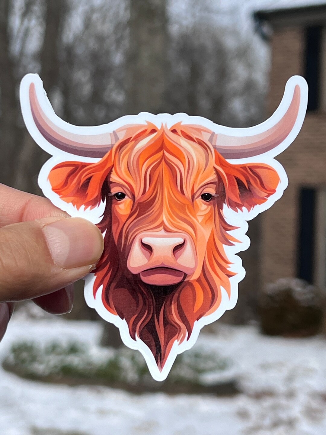 Highland Cow Sticker | Scottish Cow Vinyl Sticker | Scotland | for ...