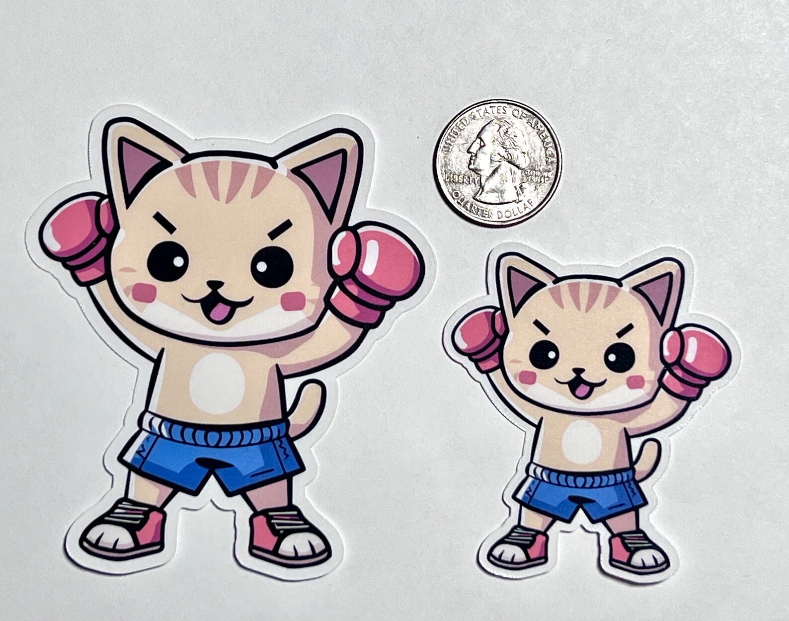 Boxing Cat Sticker Champion Boxer Kitty Water Bottle Sticker Boxer Gift ...
