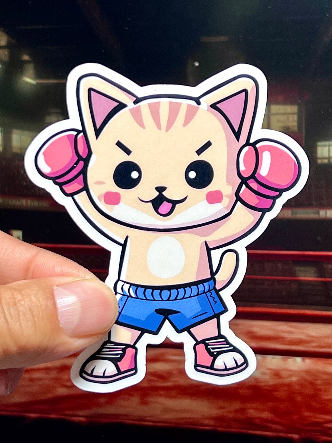 Boxing Cat Sticker: Champion Boxer Kitty, Water Bottle Sticker - Etsy