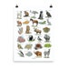 Animal Alphabet Watercolor Poster - Etsy