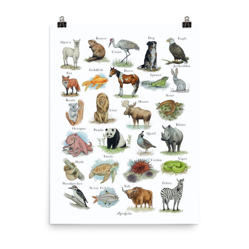 Animal Alphabet Watercolor Poster - Etsy