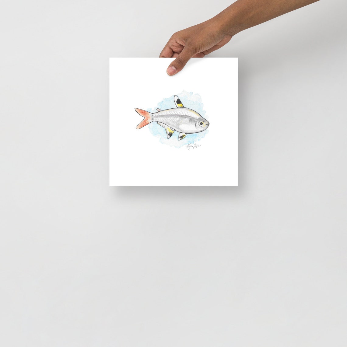 X-ray Fish Watercolor Print - Etsy