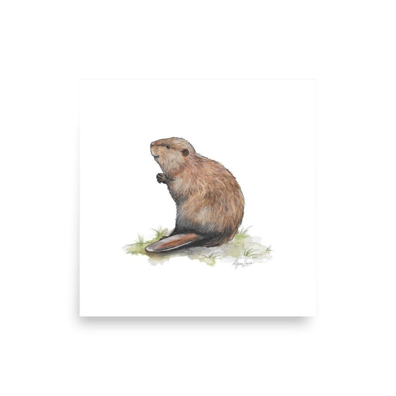 Beaver Watercolor Print - Etsy