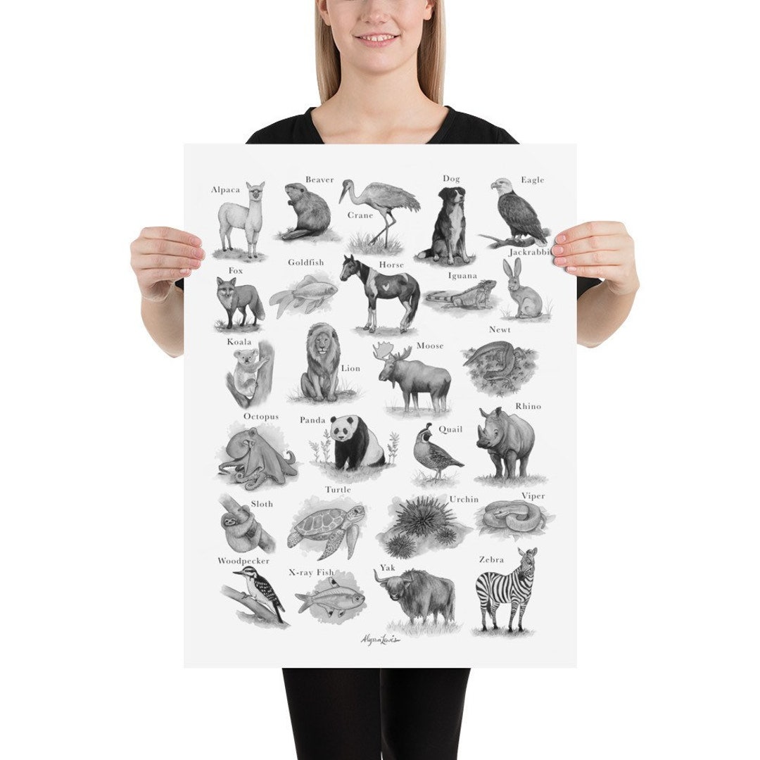 Animal Alphabet Poster - Black & White - Etsy