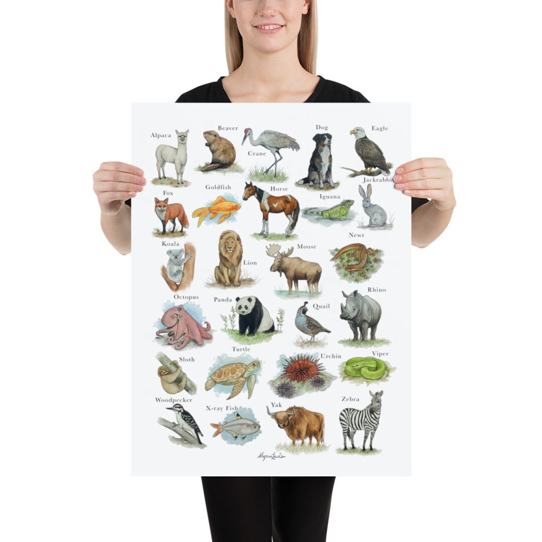 Animal Alphabet Watercolor Poster - Etsy