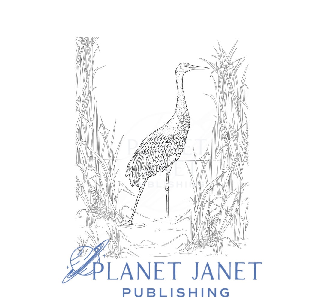 Crane in Tall Grass Line Drawing Semi-realistic Line Art Fine Art ...
