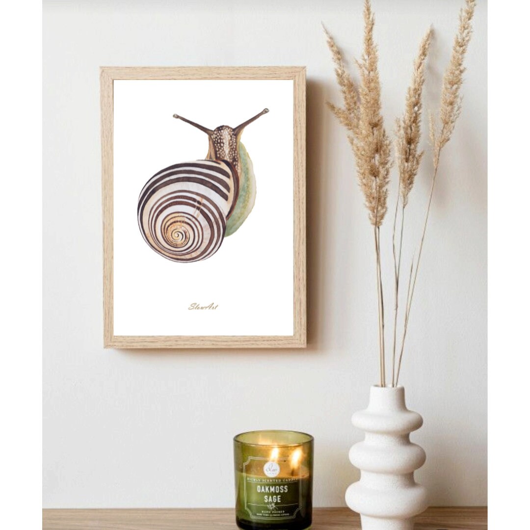 Watercolor Snail Decor Snail Print Art Printed Snail Illustration Snail ...