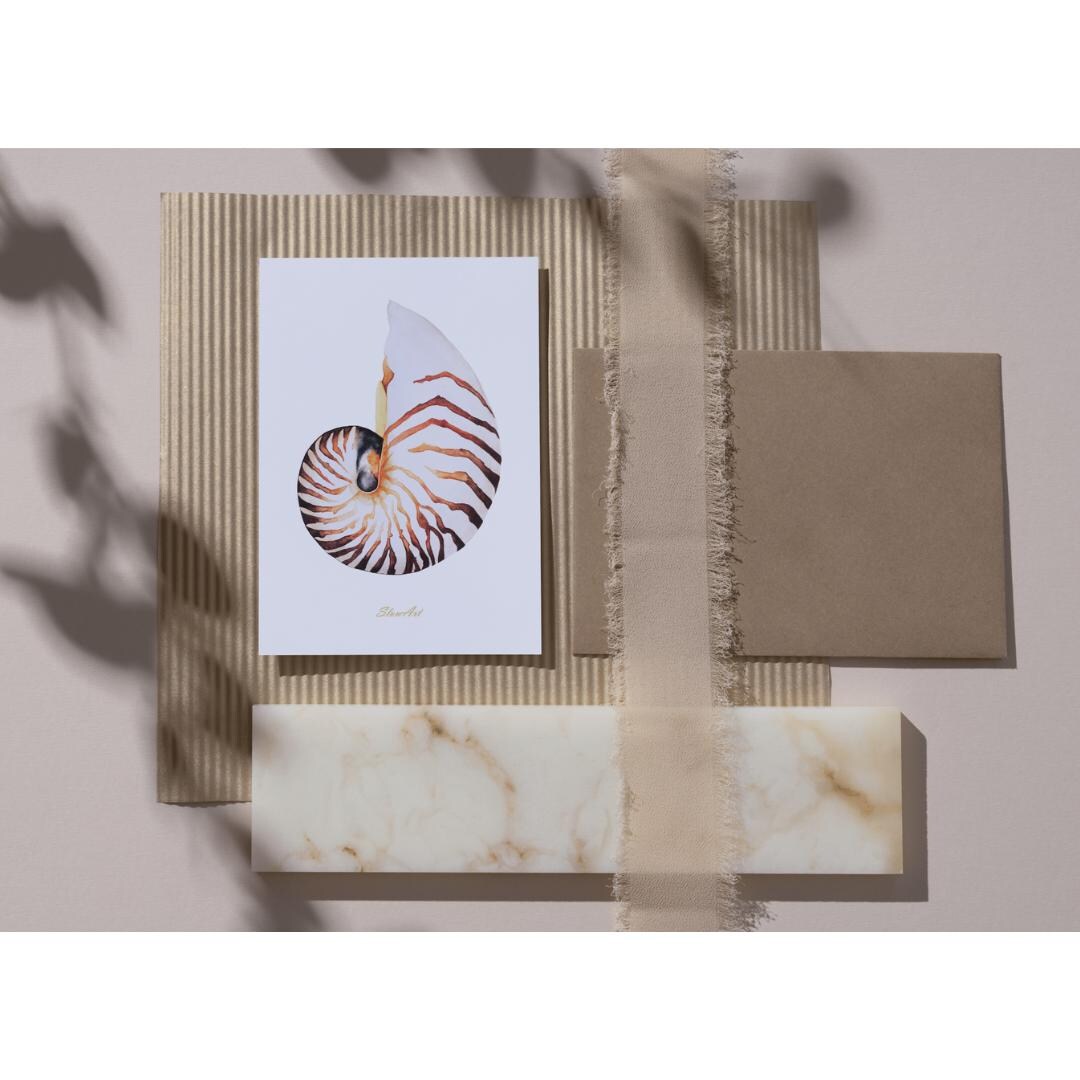 Marine Postcards Postcards Watercolor Seashell Watercolor Postcards ...