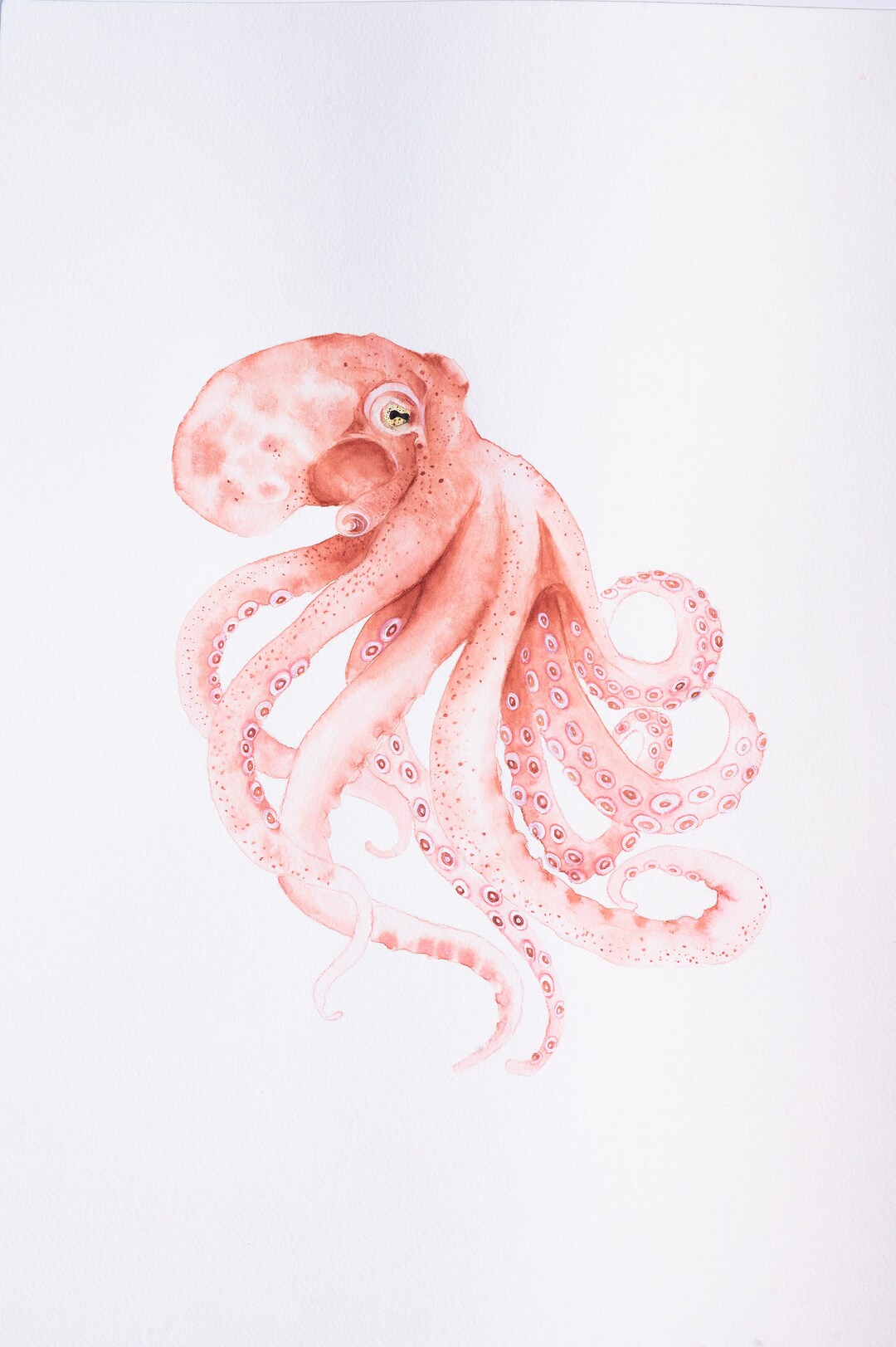 Octopus Watercolor Painting Sealife Themed Artwork Octopus Art Wall ...