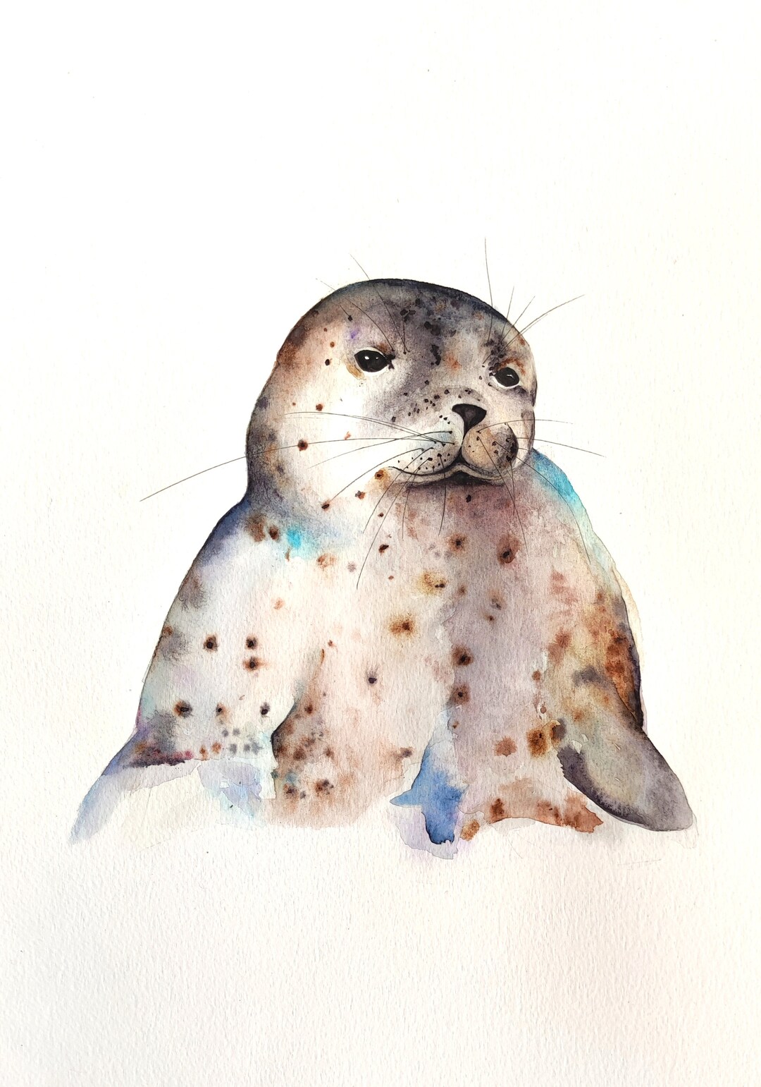 Watercolor Seal, Seal Painting, Sea Wall Decoration, Children's ...