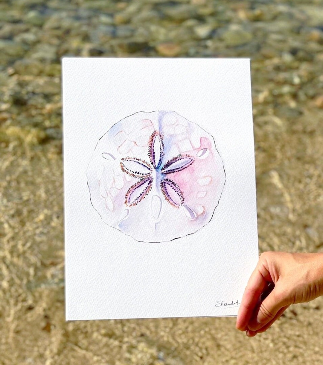Sand Dollar Watercolor Painting Marine Life for Beach House Decor ...