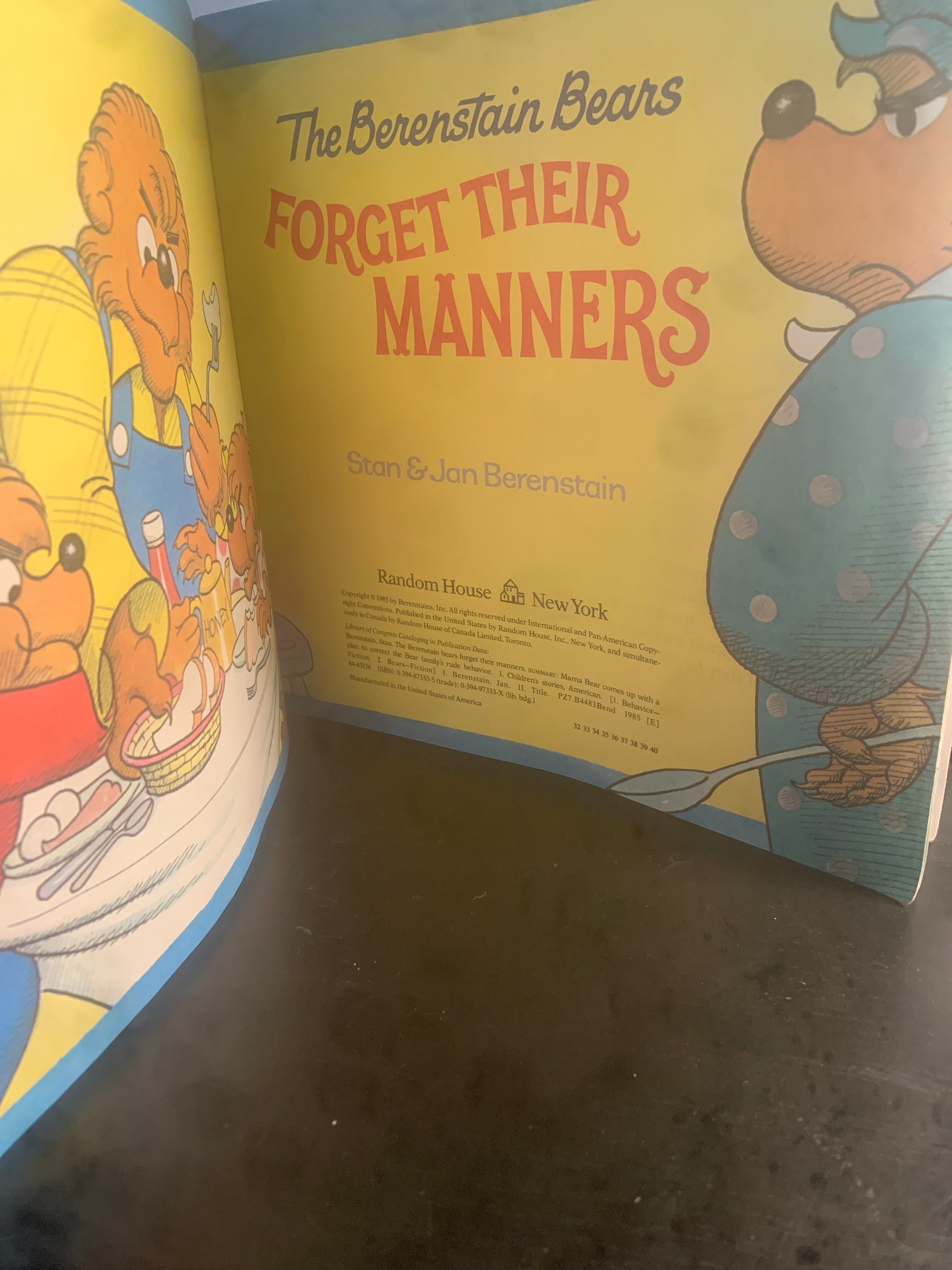 The Berenstain Bears forget Their Manners | Etsy