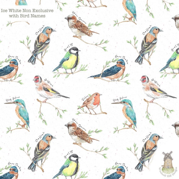Garden Birds Seamless Digital Design 6inch X 6inch 300dpi - Etsy
