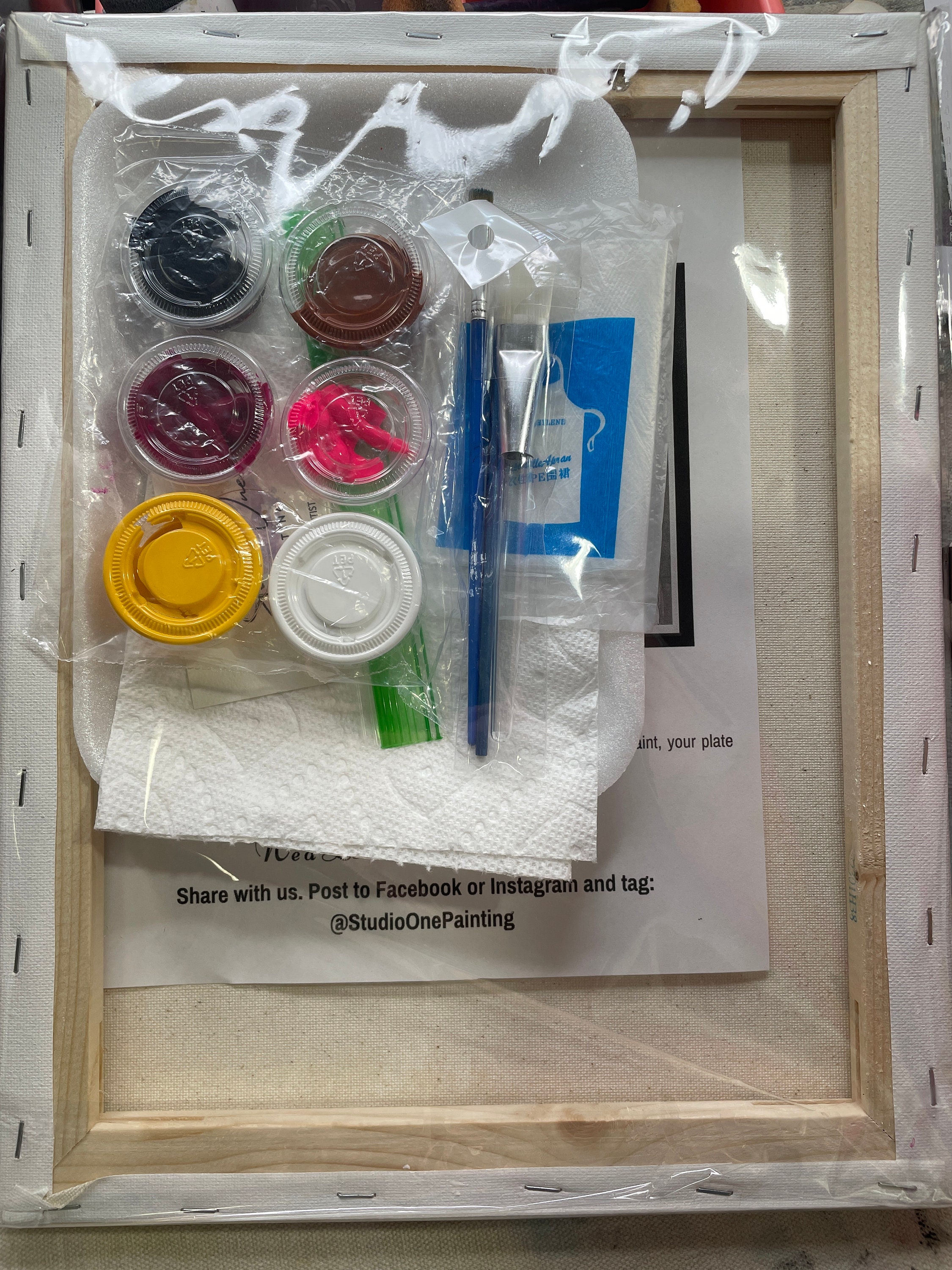 Barbie 11x14 Canvas Kit! Host a DIY Paint Party at Home! Sip & Paint ...