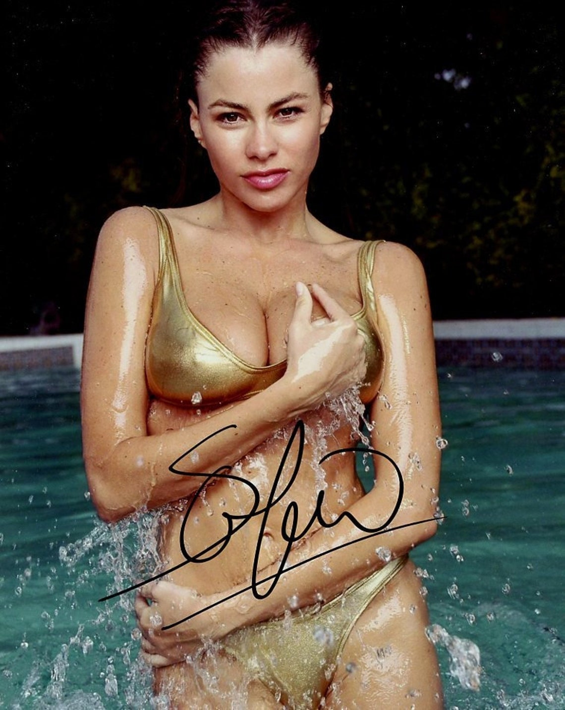 Sofia Vergara GORGEOUS in Person Signed Photo - Etsy