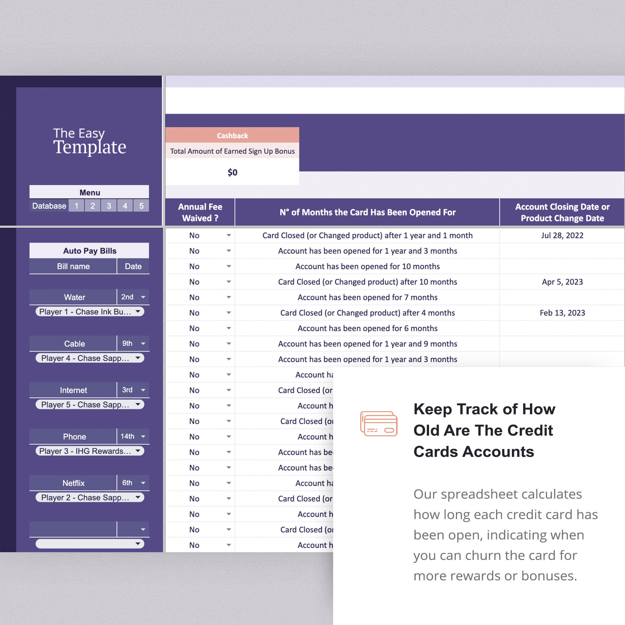 Credit Card Churning Tracker Template Google Sheets Travel - Etsy
