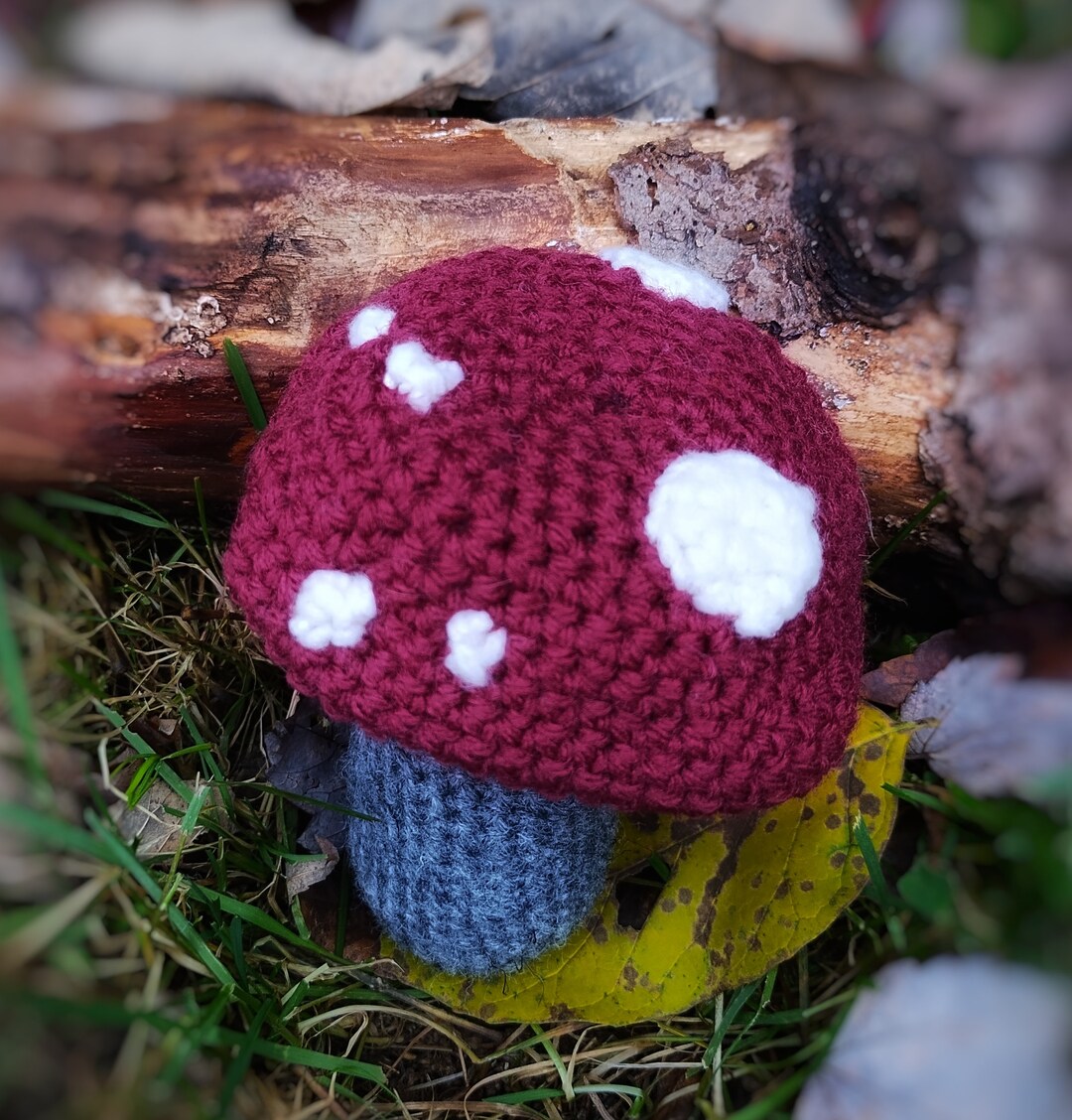 Crocheted Toadstool Mushroom - Etsy