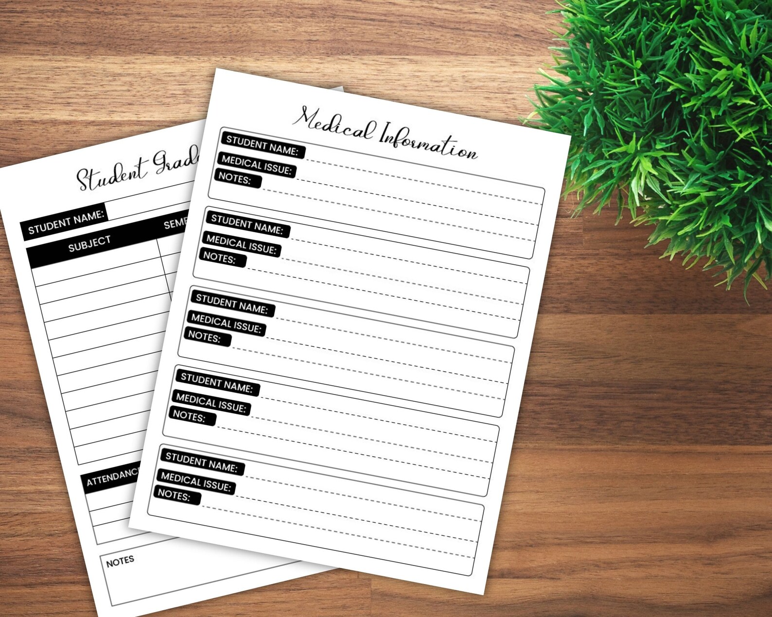 Teacher Planner 2024-2025 Digital Teacher Planner Printable Planner ...