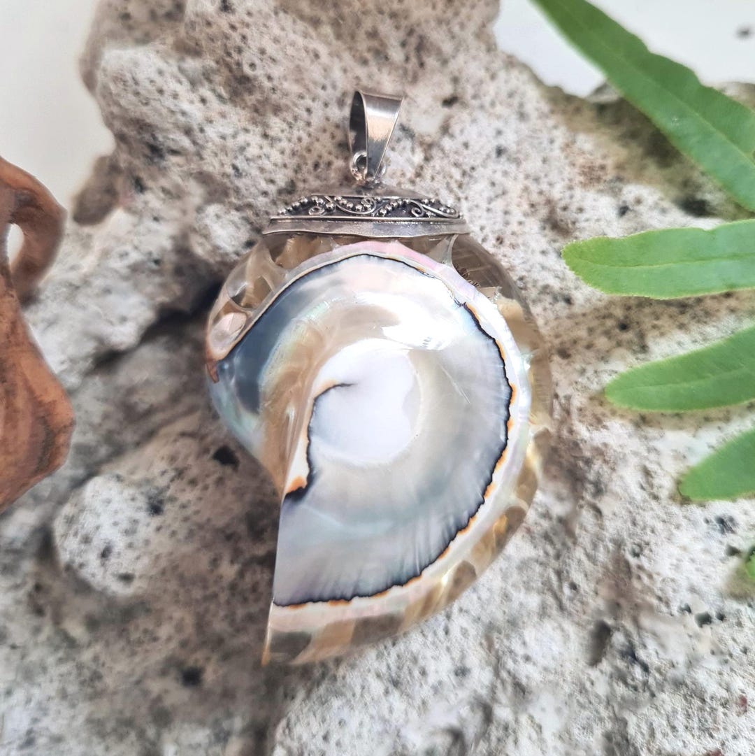 Transparent Nautilus Shell and 925 Sterling Silver Pendant - Etsy