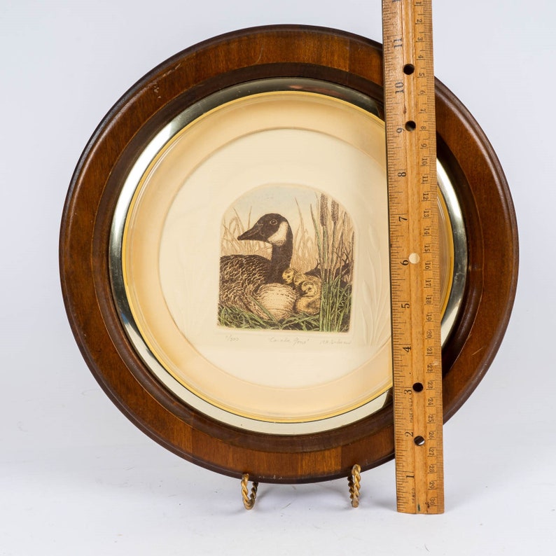 Rachel R.H. Badeau 'canada Goose' Signed Numbered Print Hand-colored 11 ...