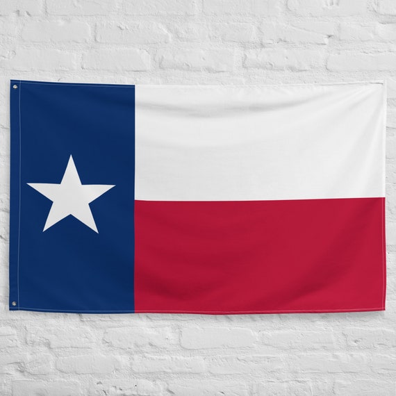 Página Para Colorear De La Bandera Del Estado De Texas Dibujo De