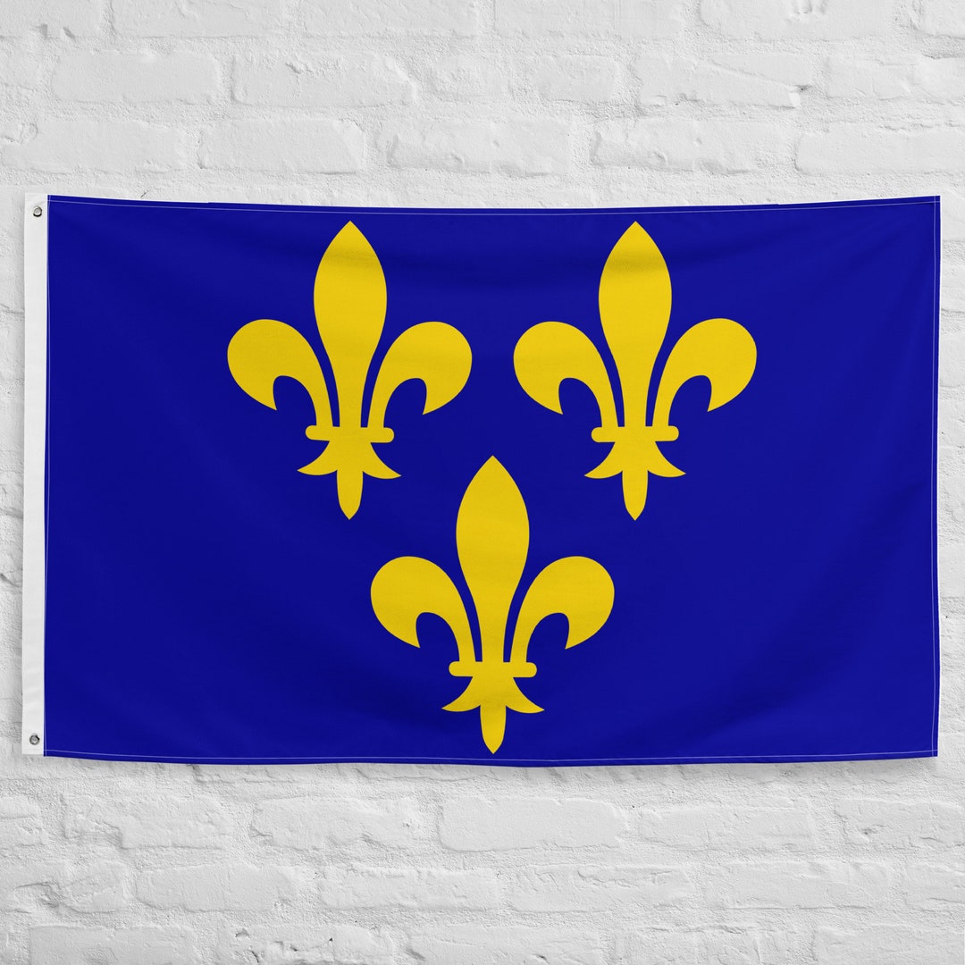 14th Century - 16th Century France Banner Flags 100% Polyester With 2 ...