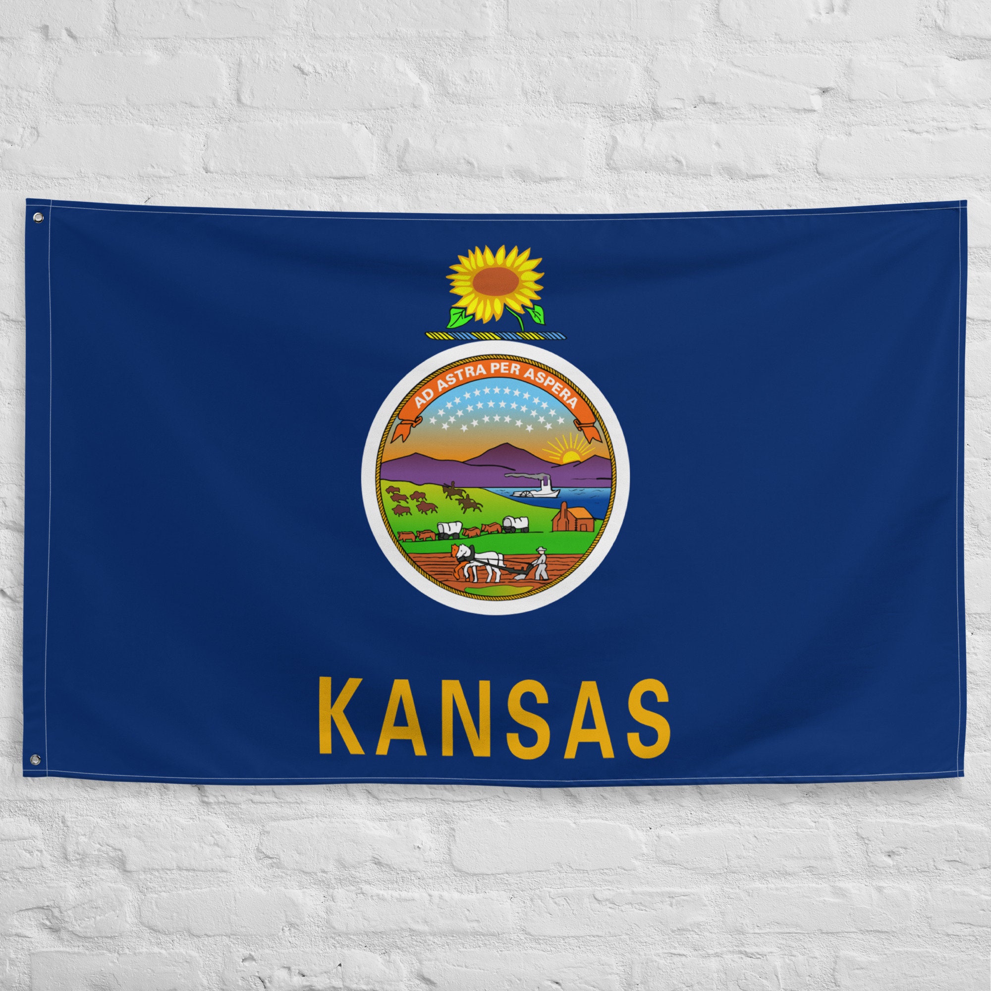 Official Kansas Flag
